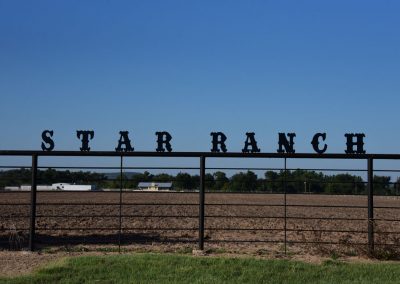 Gallery | Star Ranch - Stars on the Concho