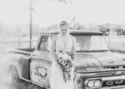 Gallery | Star Ranch - Stars on the Concho